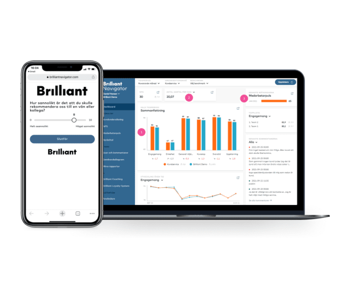 Insight Hub | Brilliant Future